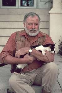 Ernest Hemingvej - Ernest Hemingway - Knjige Online