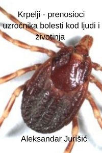 Krpelji - Prenosioci Uzročnika Bolesti Kod Ljudi I Životinja Od ...